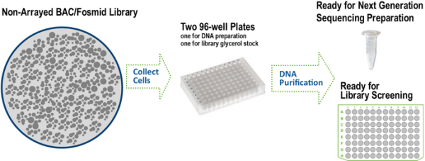 DNA Preparation - Intact Genomics