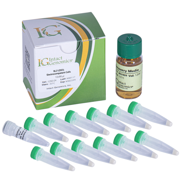 EHA105 Chemically Competent Agrobacterium