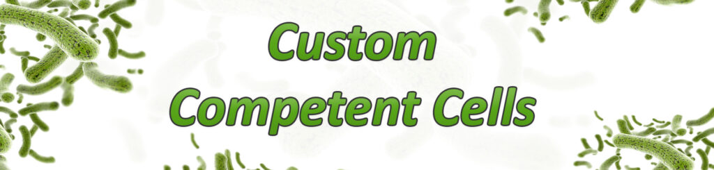 Custom Competent Cells - Intact Genomcs