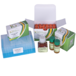 TG1 Phage Display Electrocompetent Cells - Intact Genomics