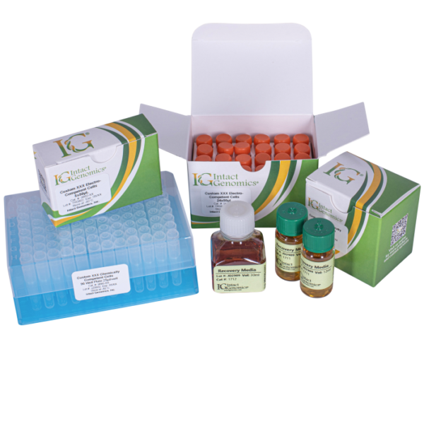 EHA105 Chemically Competent Agrobacterium