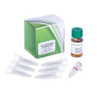 DH5-Alpha DirectPlate chemically competent E. coli cells