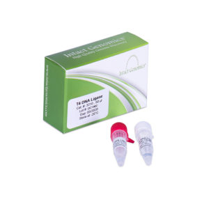 Intact Genomics - Higher Quality Enzymes and Competent Cells