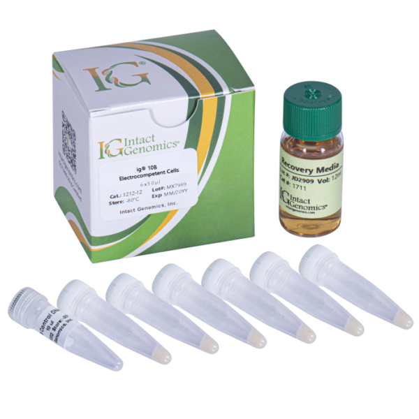 EHA105 Chemically Competent Agrobacterium