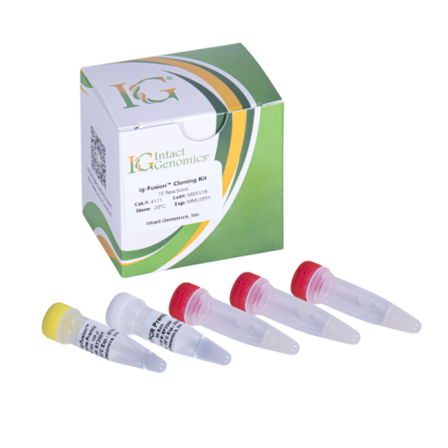 Cloning Kit | ig-Fusion™ | Intact Genomics