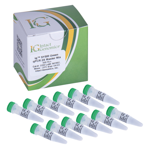 SYBR Green qPCR 2X Master Mix | igSYBR™ | Intact Genomics