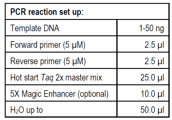 Hot Start Taq 2x Master Mix - Intact Genomcs