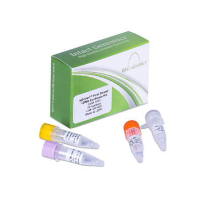 First Strand cDNA Synthesis Kit | igScript™ | Intact Genomics