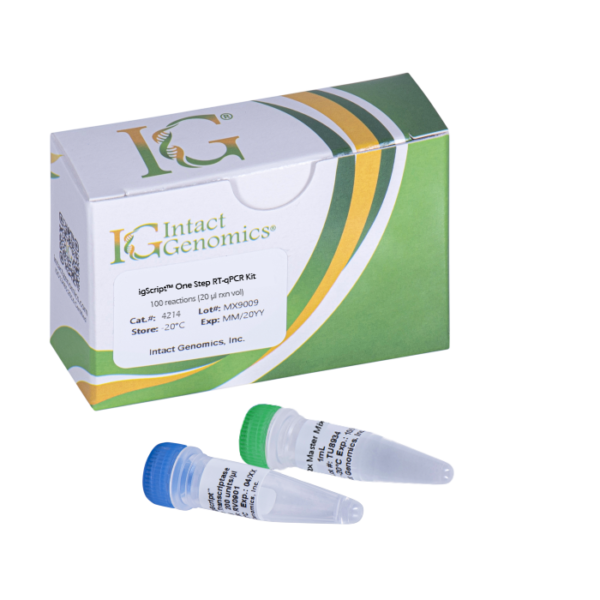 One Step RT-qPCR Kit | igScript™ | Intact Genomics