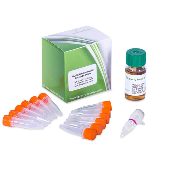 DH5-Alpha DirectPlate chemically competent E. coli cells