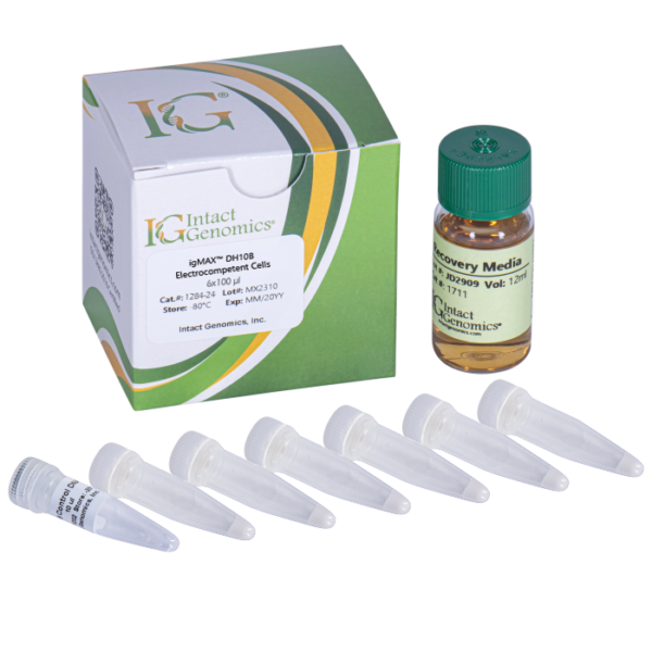 EHA105 Chemically Competent Agrobacterium