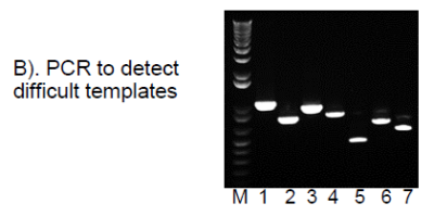 i7® High-Fidelity DNA Polymerase |2x Master Mix | ig™
