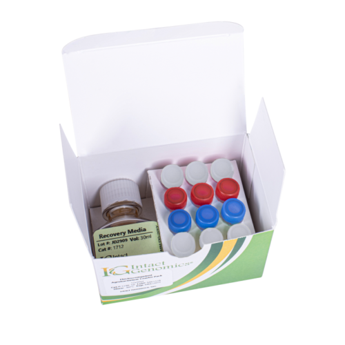 TG1 Phage Display Electrocompetent Cells - Intact Genomics