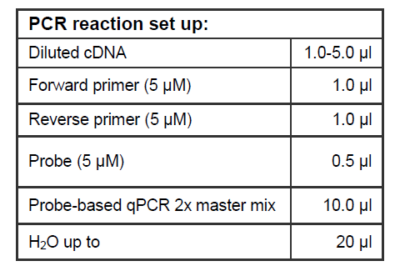 Probe-Based qPCR master mix | igScript™