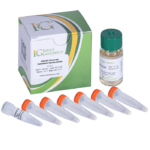 EHA105 Chemically Competent Agrobacterium