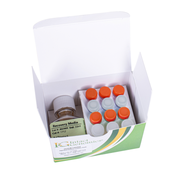 GV3101 (pSoup) ElectroCompetent Agrobacterium