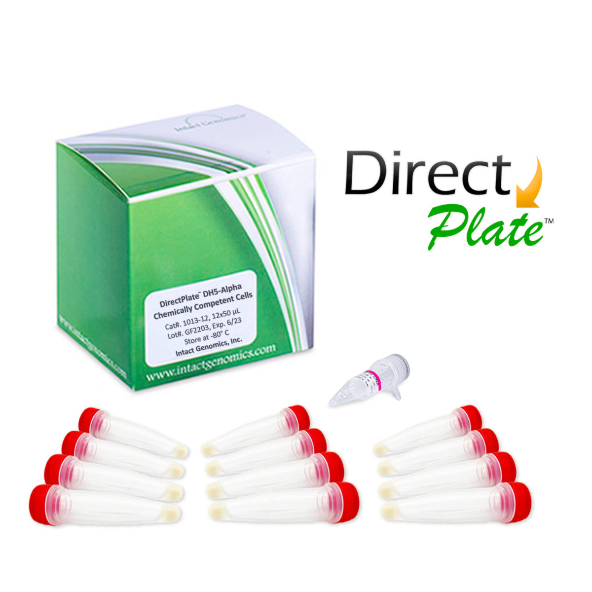 DirectPlate DH5-Alpha chemically competent E. coli cells | Intact Genomics