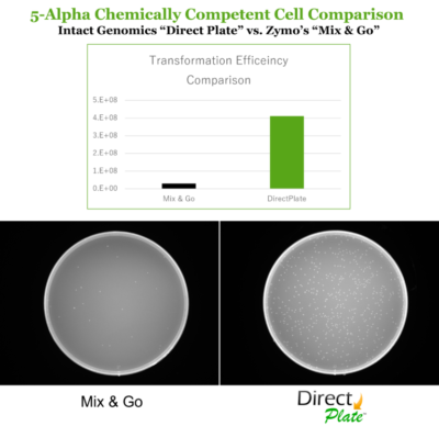 DH5-Alpha DirectPlate chemically competent E. coli cells