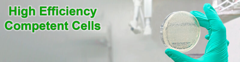 Transformation Efficiency Calculator | Intact Genomics