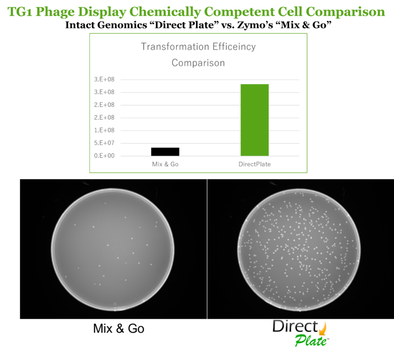 DirectPlate TG1 Phage Display chemically competent E. coli cells ...