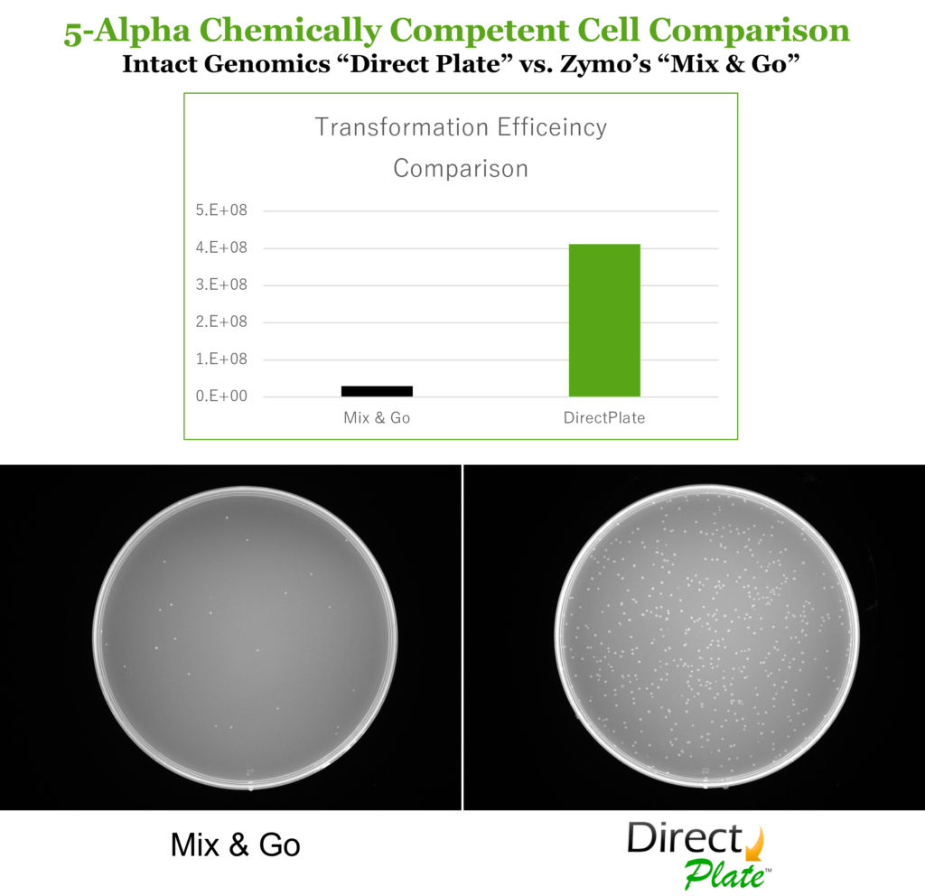 DirectPlate® Competent Cells - Intact Genomics