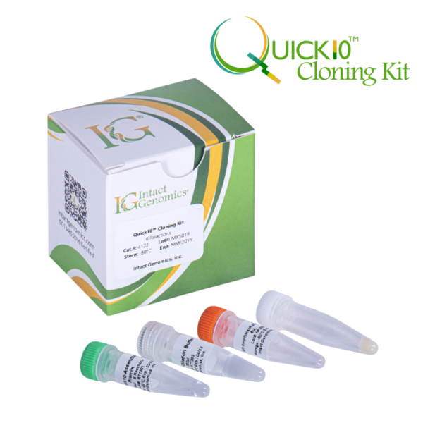 Quick10™ Cloning Kit |Intact Genomics