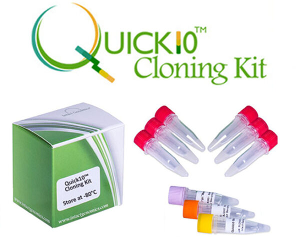 Quick10™ Cloning Kit |Intact Genomics