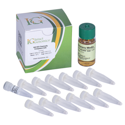 MG1655 Chemically Competent Cells | ig | Intact Genomics