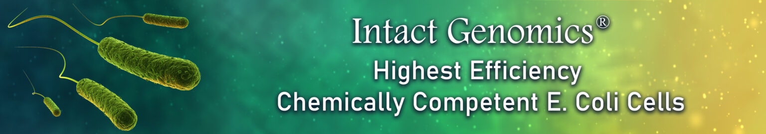 E. coli Chemically Competent Cells - Intact Genomics