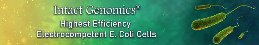 Electrocompetent E. Coli Cells - Intact Genomics