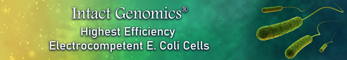 Electrocompetent E. Coli Cells - Intact Genomics