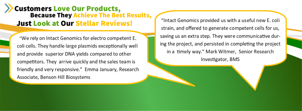 E. coli Chemically Competent Cells - Intact Genomics
