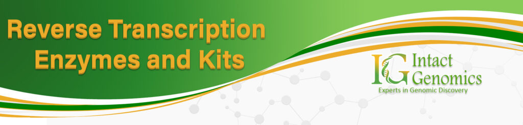 Reverse Transcription Enzymes and Kits - Intact Genomics