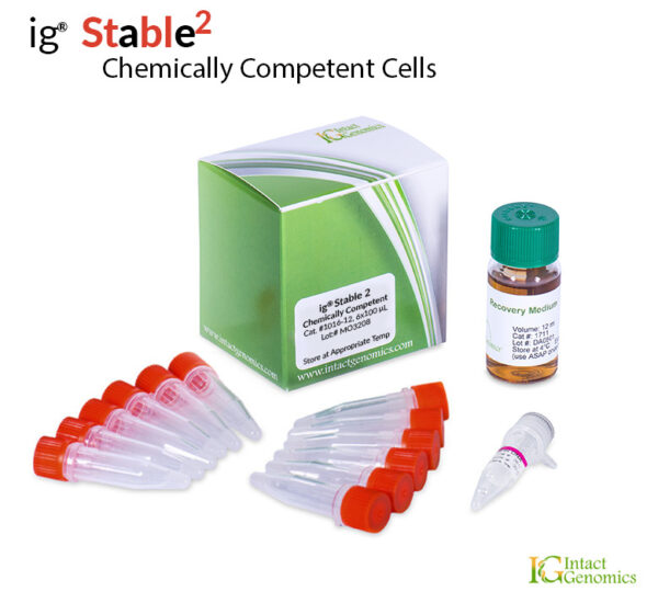 Stable 2 Chemically Competent Cells | ig® | Intact Genomics