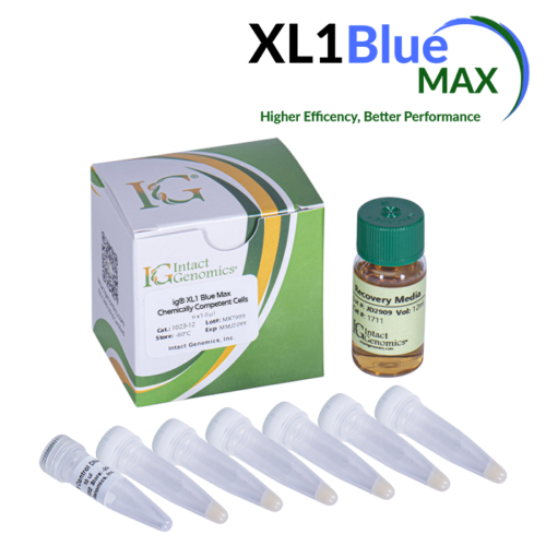 XL1 Blue Max Chemically Competent Cells | ig® | Intact Genomics