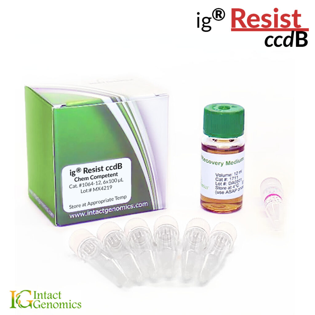 ccdB Resist™ chemically competent cells| ig® | Intact Genomics