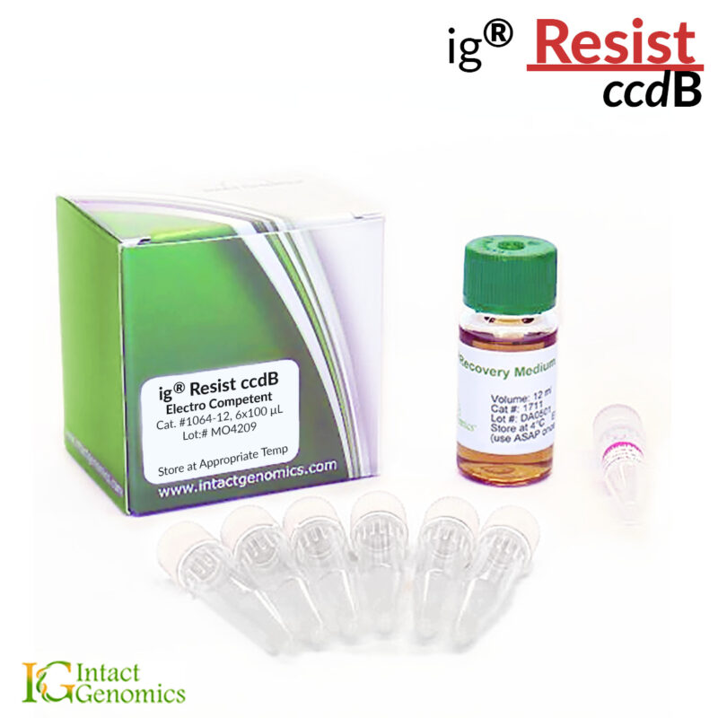 ccdb Resist™ ElectroCompetent Cells | ig® | Intact Genomics