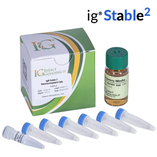 Stable 2 ElectroCompetent Cells | ig® | Intact Genomics