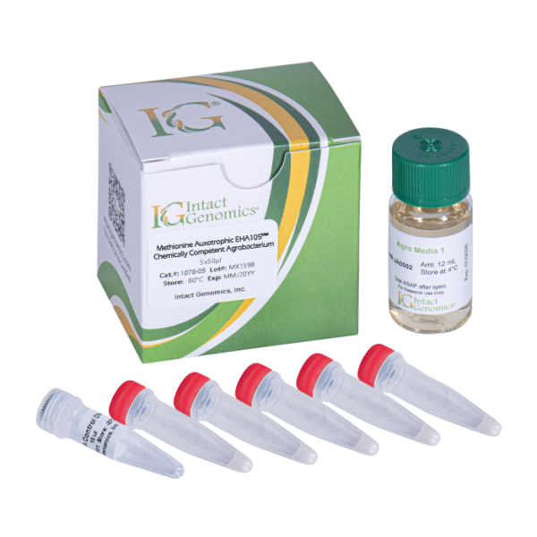 Methionine Auxotrophic EHA105 | ig® | Intact Genomics