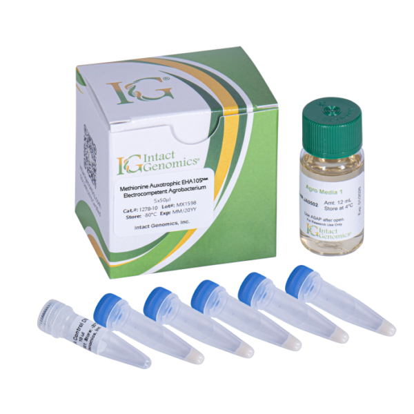 Methionine Auxotrophic EHA105 | ig® | Intact Genomics