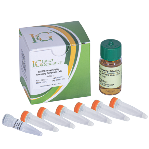ER2738 Phage Display Chemically Competent Cells | ig®