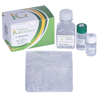 RNA Cleanup Kit - Intact Genomics
