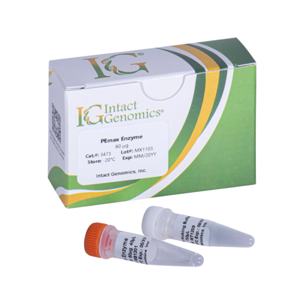 PEmax Enzyme - Intact Genomics