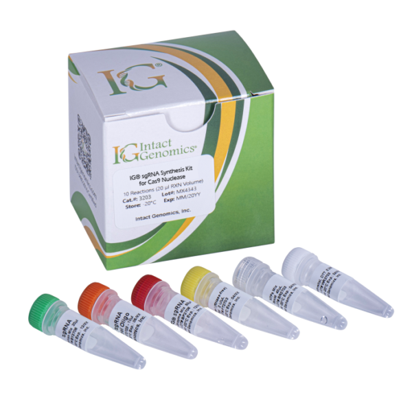 sgRNA Synthesis Kit for Cas9 nuclease | Intact Genomics