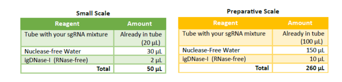 sgRNA Synthesis Kit for Cas12a nuclease - Intact Genomics