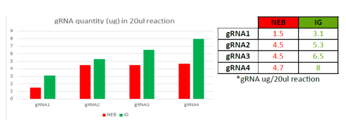 sgRNA Synthesis Kit for Cas9 nuclease | Intact Genomics