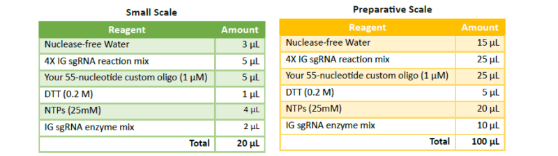 sgRNA Synthesis Kit for Cas9 nuclease | Intact Genomics