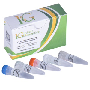 ig® Recombinase Polymerase Amplification (RPA) Kit v2
