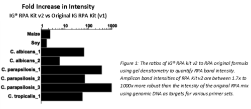 ig® Recombinase Polymerase Amplification (RPA) Kit v2