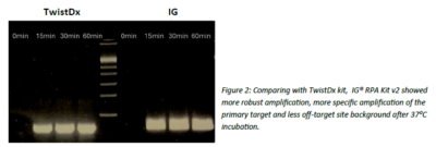 ig® Recombinase Polymerase Amplification (RPA) Kit v2